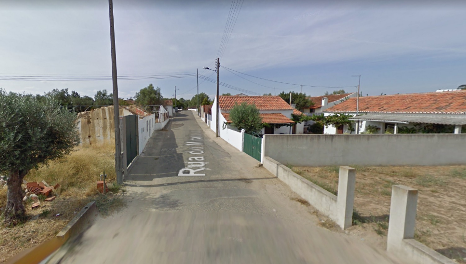 Chamusca | Câmara combate praga de pulgas no Pinheiro Grande | Médio Tejo